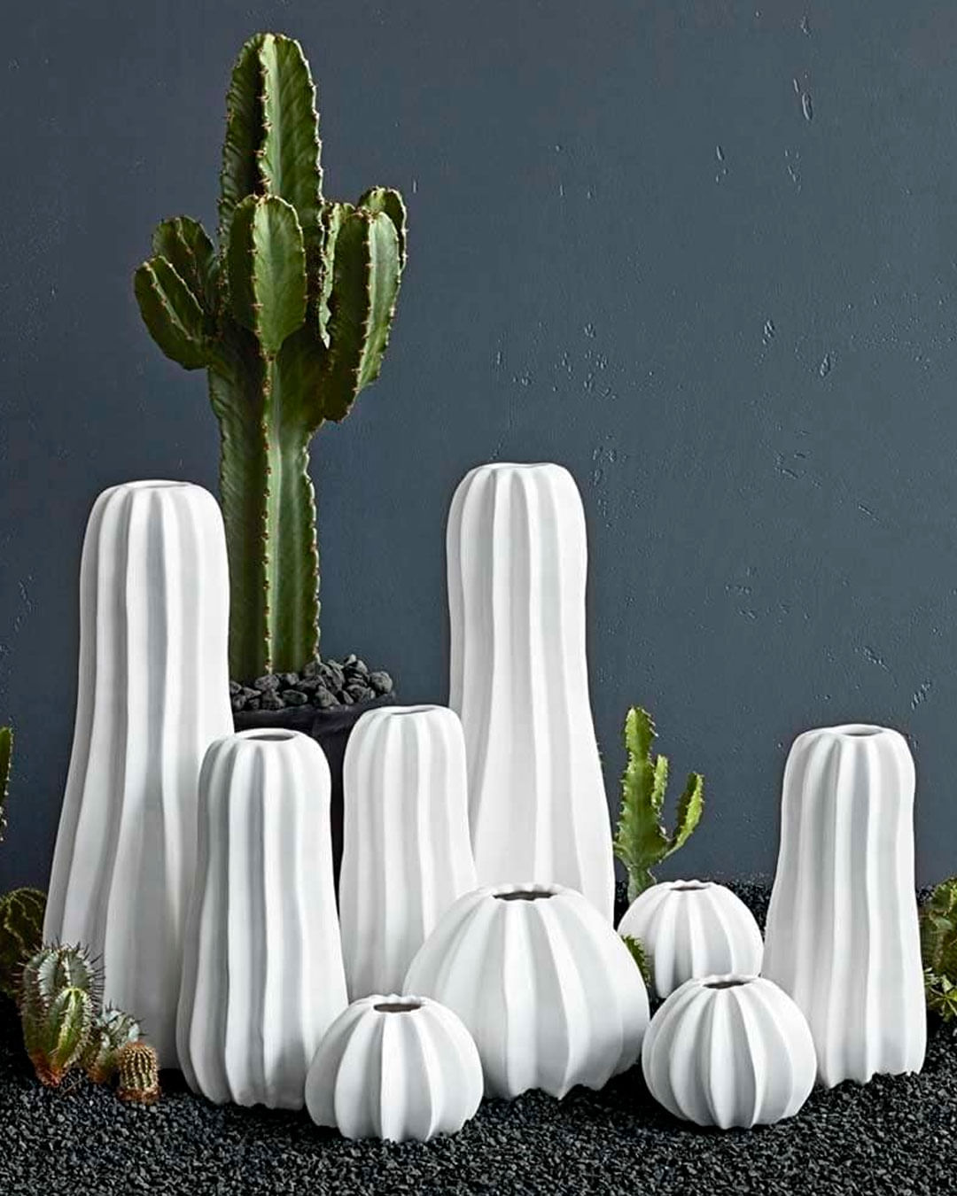 vaso 11x9cm cactus branco asa - Toolbox